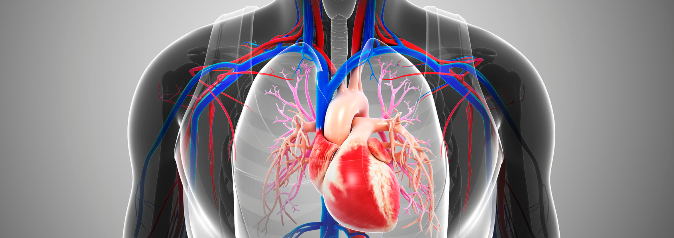 Aortic aneurysm | Diagnosis & management | Phoenix Hospital Group